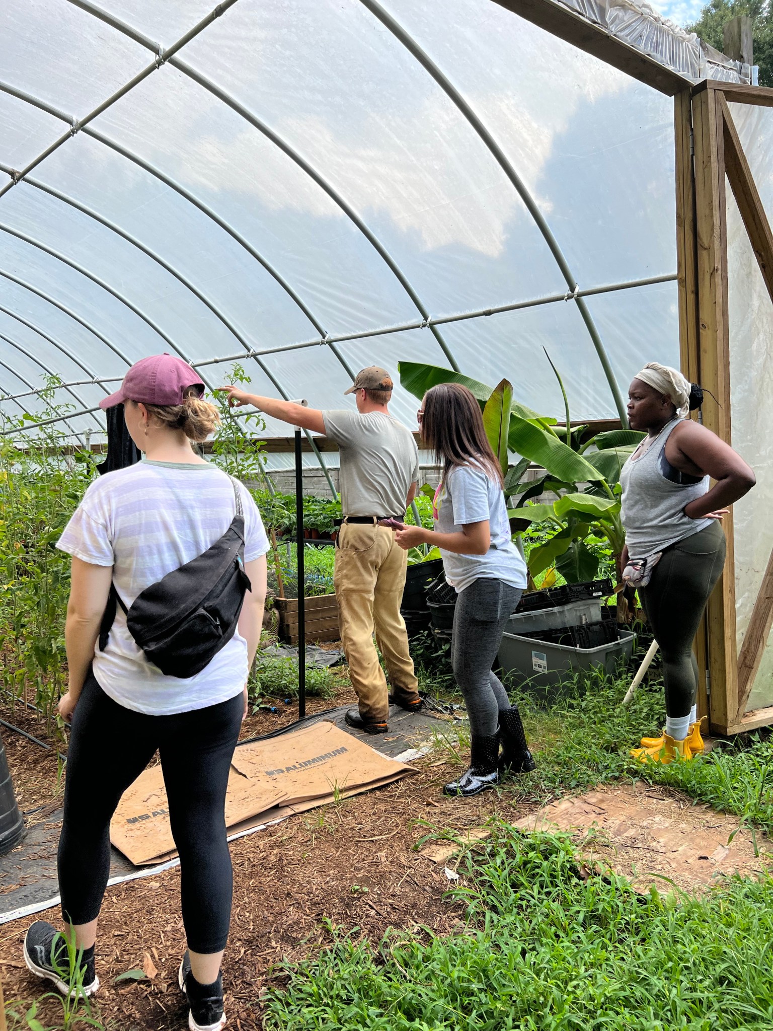 About — Canopy Atlanta