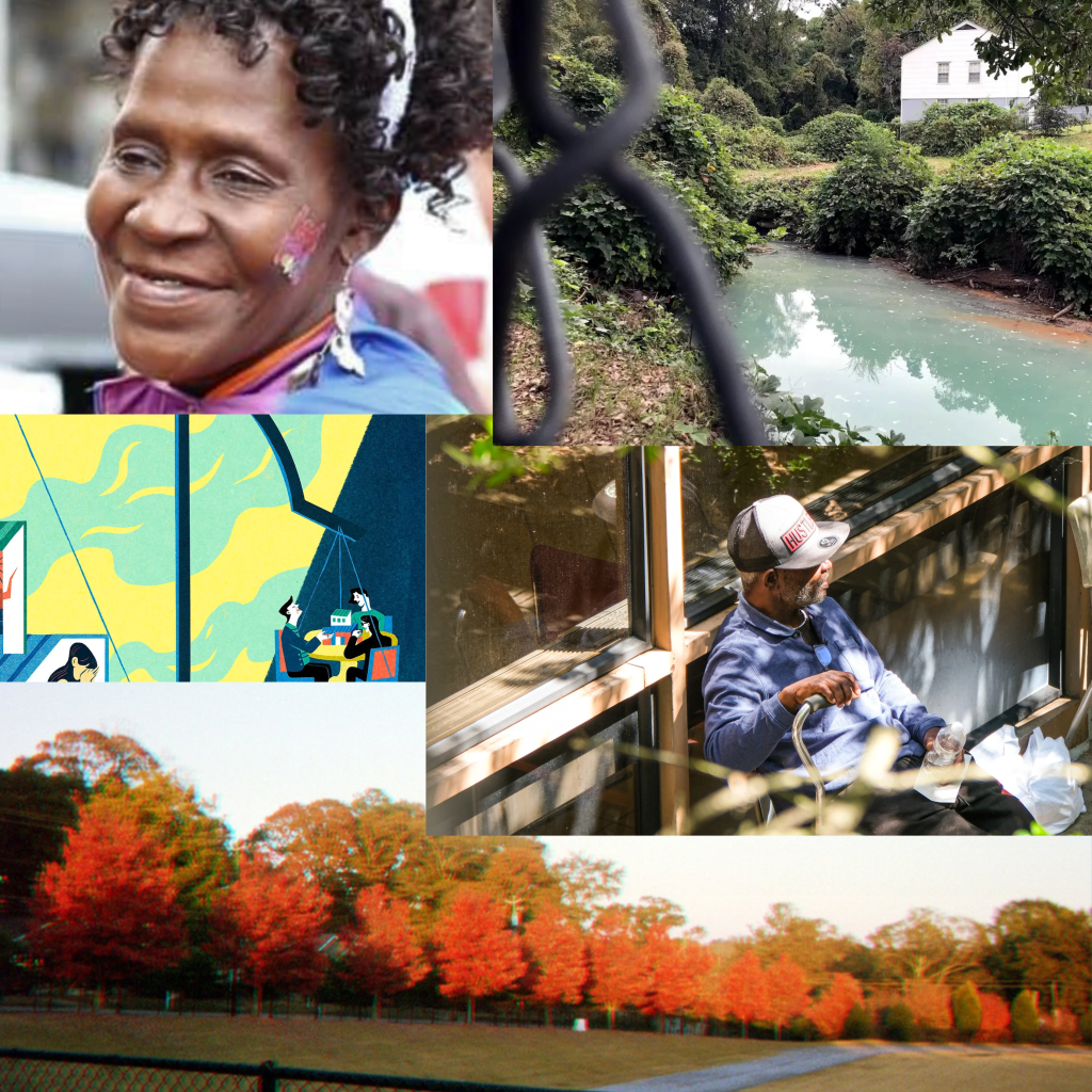 Our Favorite Stories of 2024 — Canopy Atlanta